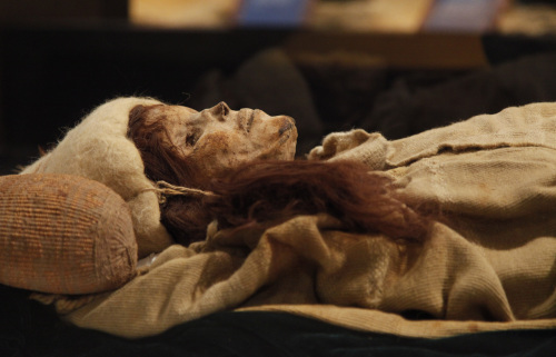 A 3,800-year-old Chinese mummy at an exhibition in U.S. - The Korea Herald