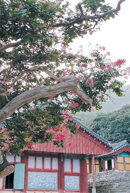 Tourist attractions in Gochang - The Korea Herald