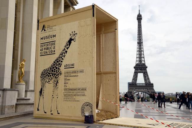 New-look Paris Zoo rethinks ‘humanimal’ relationship - The Korea Herald