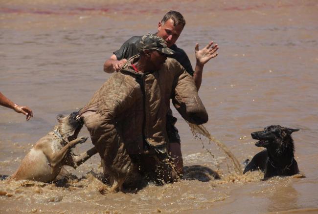 South African academy trains antipoaching dogs - The Korea Herald