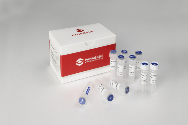 [INTERVIEW] Panagene to seek FDA approval for liquid biopsy test - THE ...