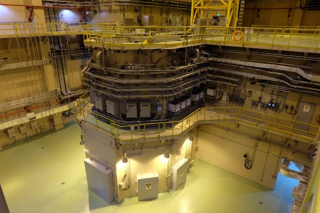 Daewoo E&C to ramp up bid for overseas nuclear reactor projects - The ...