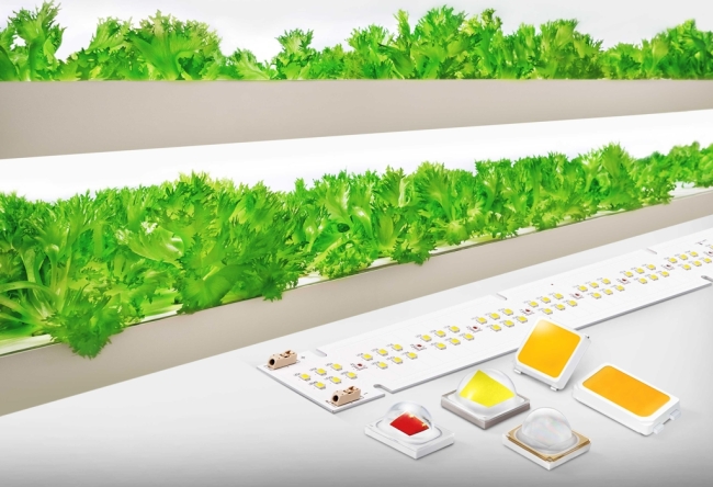 Samsung unveils horticulture LED products for greenhouse, vertical ...