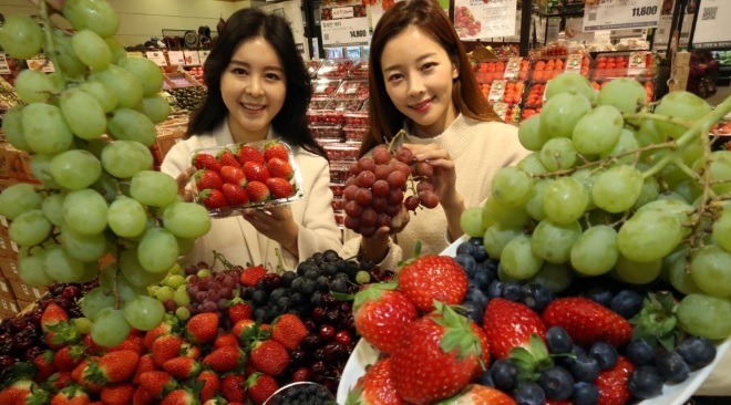 S. Korea aims to boost agricultural exports by 6.7% in 2020 - The Korea ...
