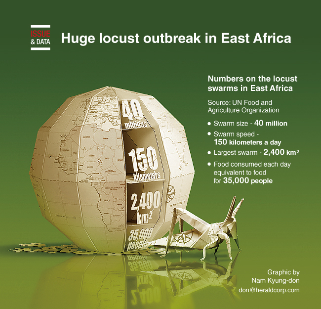 [Graphic News] Huge locust outbreak in East Africa - The Korea Herald