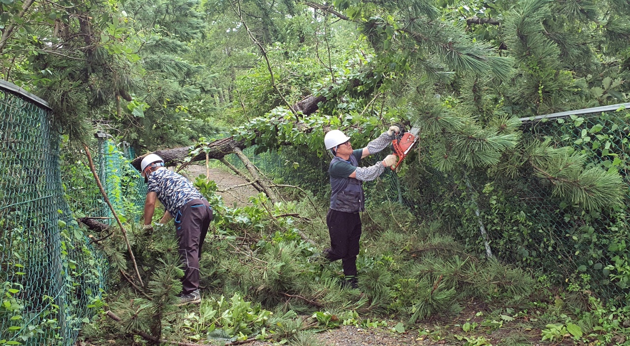 Typhoon Bavi causes damage but no deaths in S. Korea - The Korea Herald