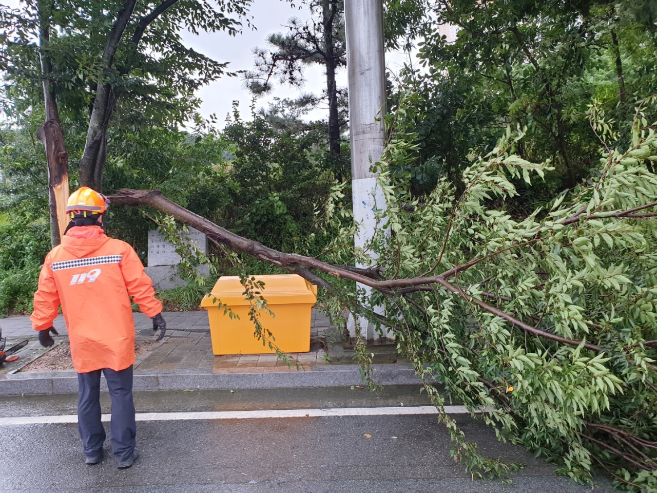 S. Korea braces as Typhoon Bavi rips through southern regions ...