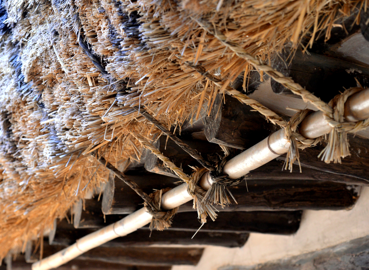 [Eye plus] A visit to Joseon-era cottage in chestnut village - The ...
