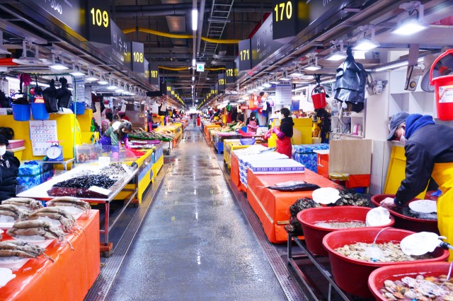 seoul fishing plaza