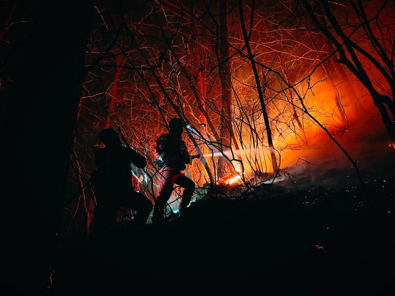 Wildfires on east coast burn nearly 24,000 ha of woodland, most ...