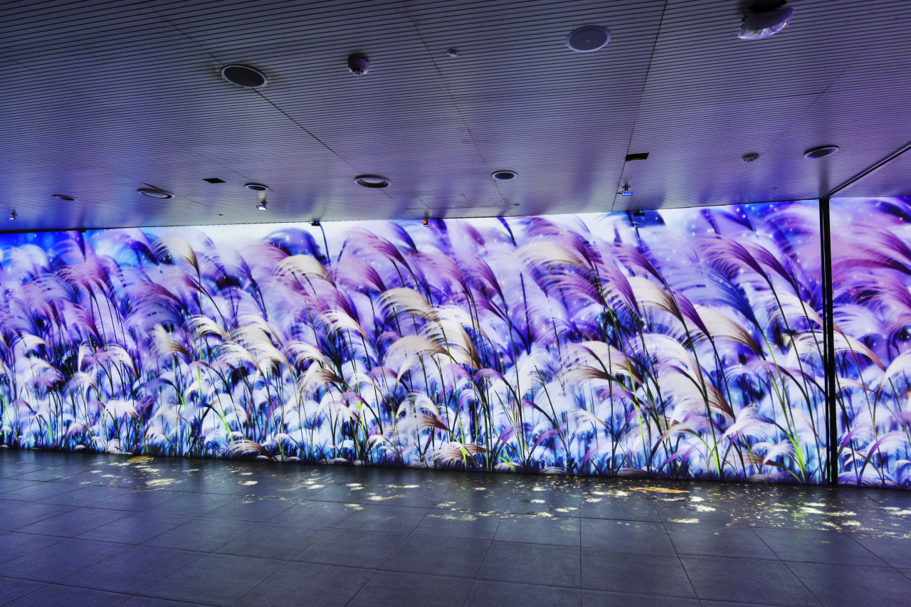 Not just to read, but to experience: National Library’s bold ...