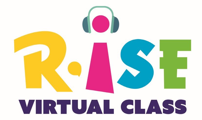 Rise Education Korea opens new chapter online - The Korea Herald
