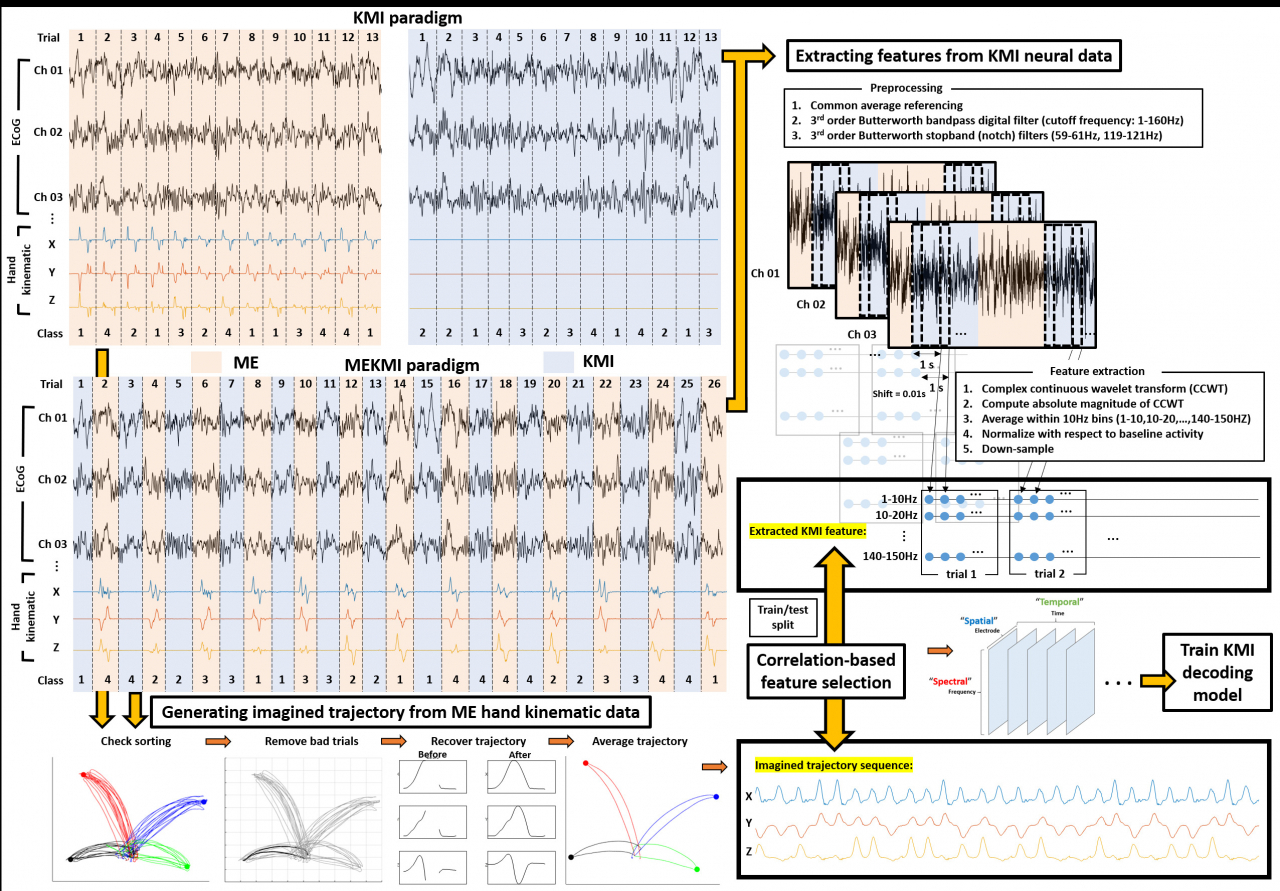 KAIST develops brain-machine interface that controls robotic hands just ...