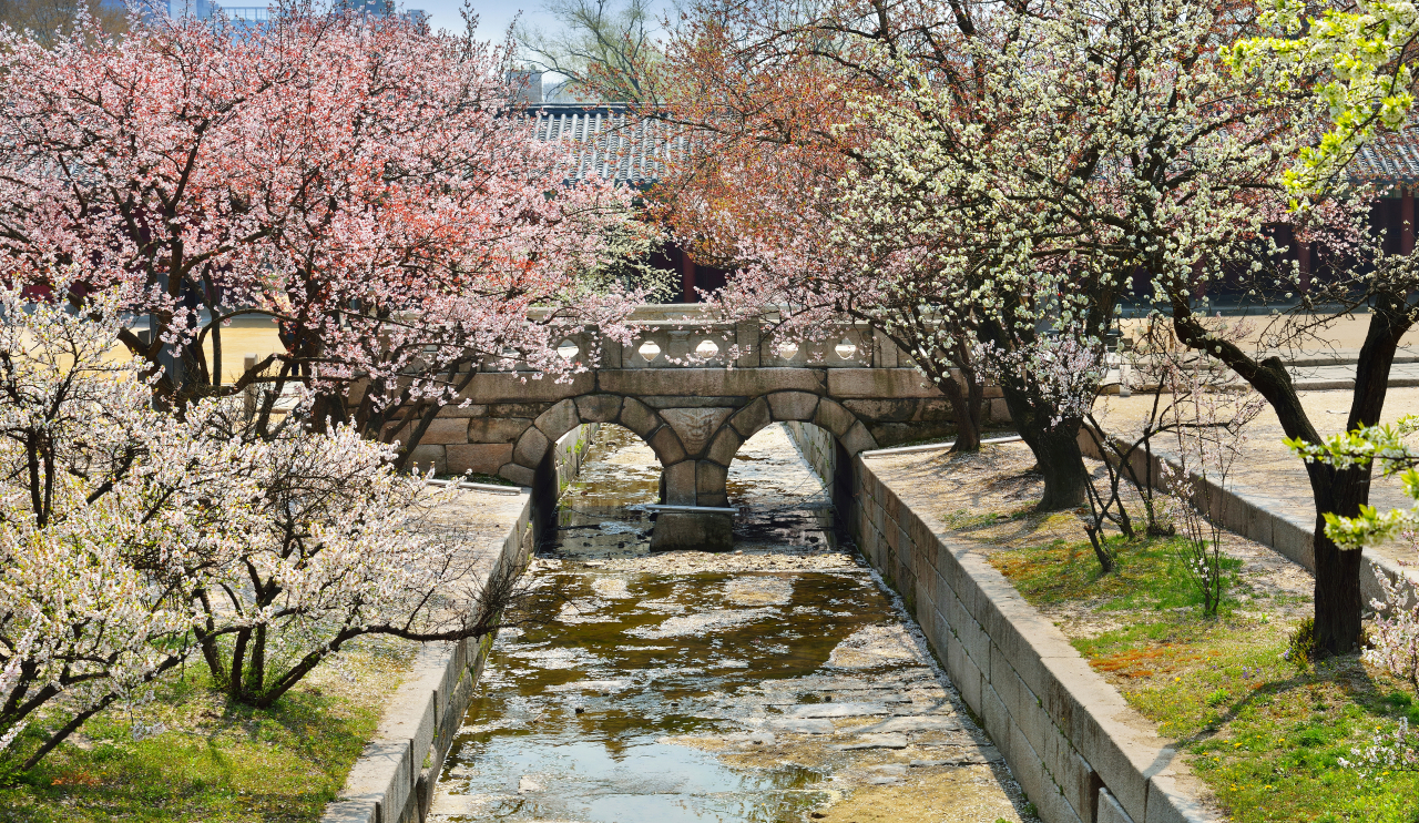 [Photo news]Joseon palaces welcome spring spectators - The Korea Herald