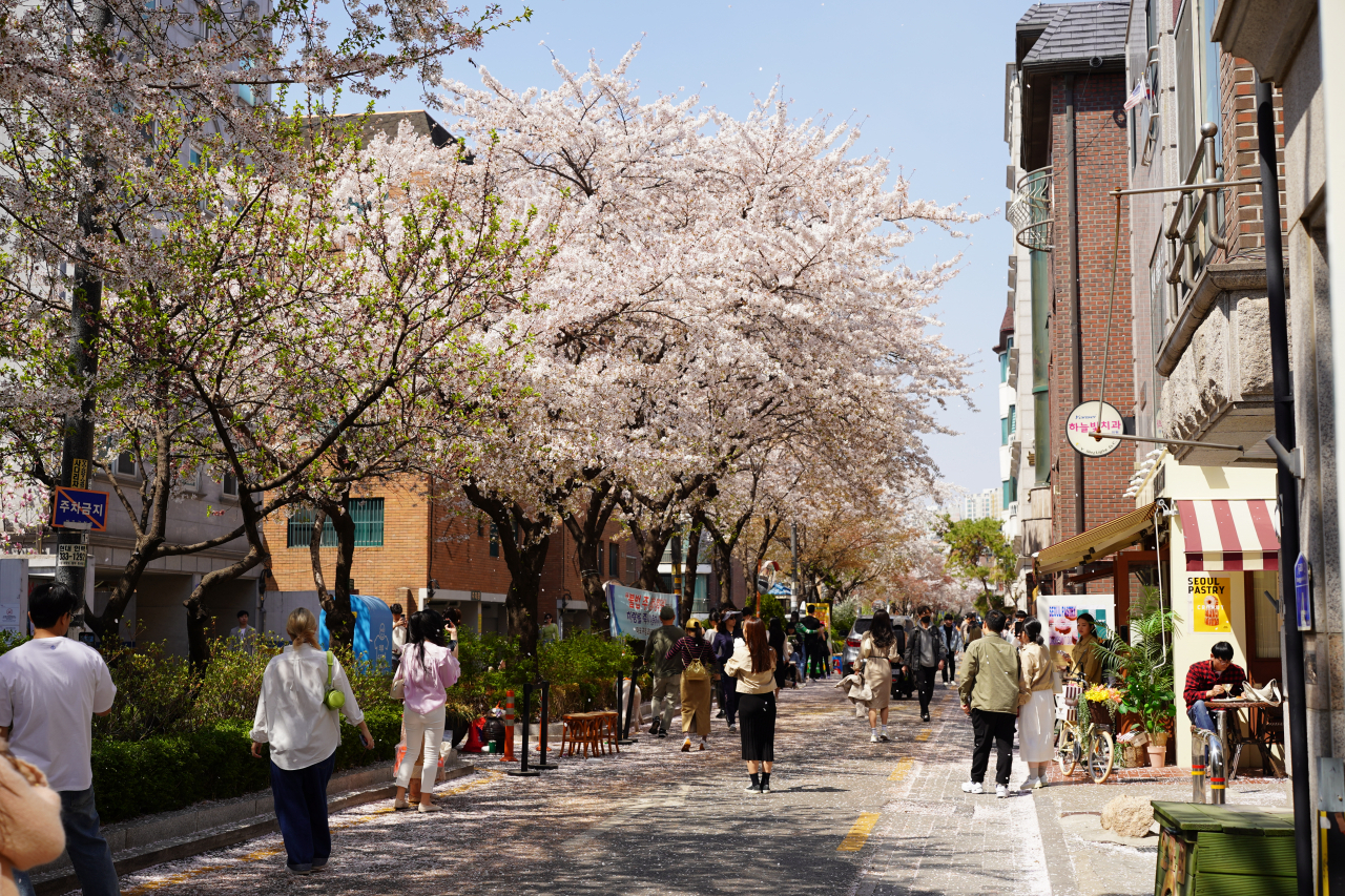 [One with Nature] Lesser-known cherry blossom streets in Seoul - The ...