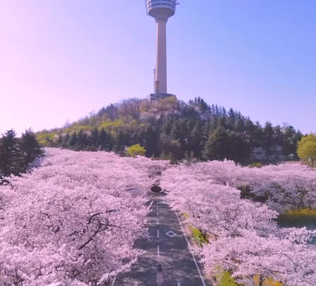 [Travel Bits] Festivals, sights across Korea - The Korea Herald