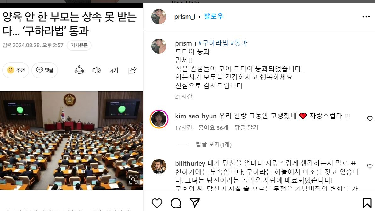 Deceased K-pop star's brother celebrates passage of 'Goo Hara law ...