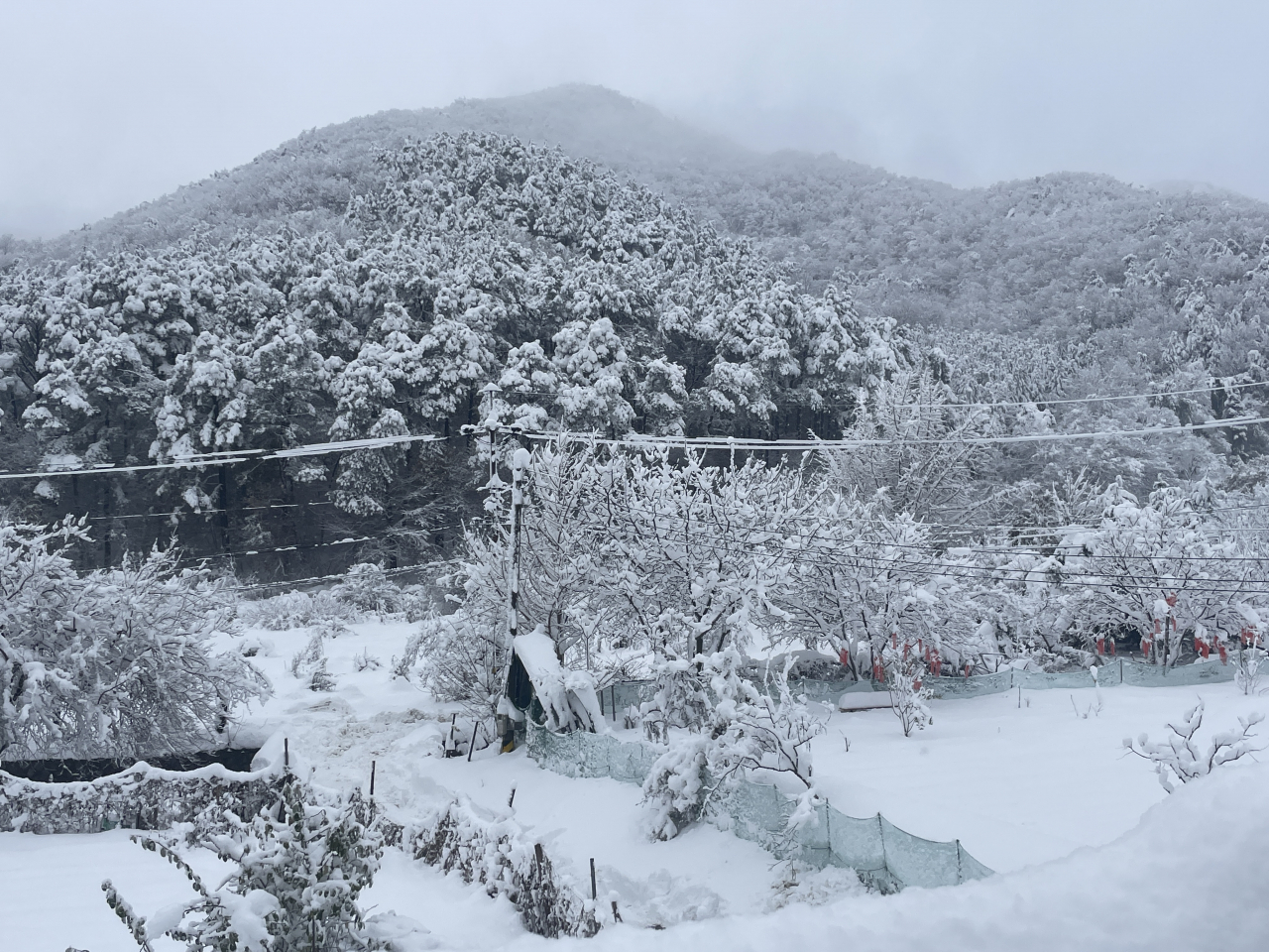 Major snowstorm shuts down schools in Seoul, Gyeonggi Province - The ...