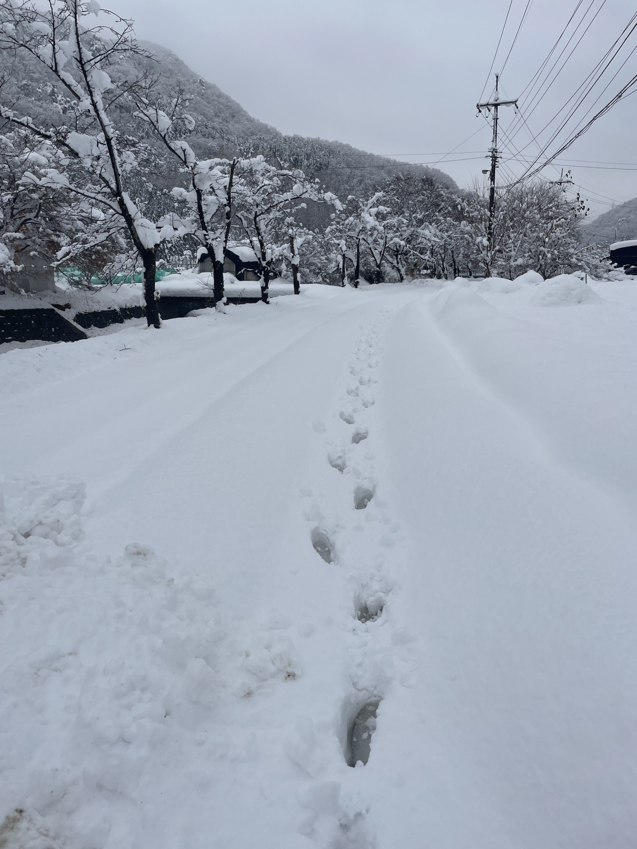 Major snowstorm shuts down schools in Seoul, Gyeonggi Province - The ...