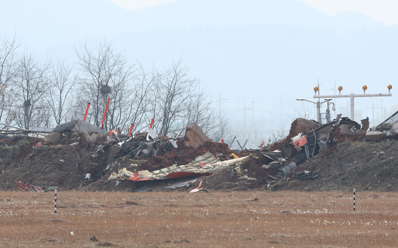 Bird strike concerns at airports raised after deadly plane crash - The ...