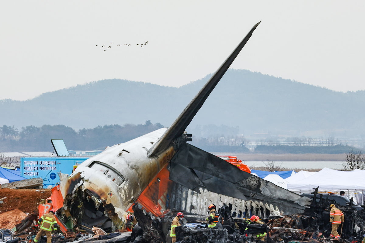 Bird-enthusiast YouTuber faces backlash after air disaster - The Korea ...