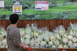 Korean middle-class sees spending power shrink - The Korea Herald