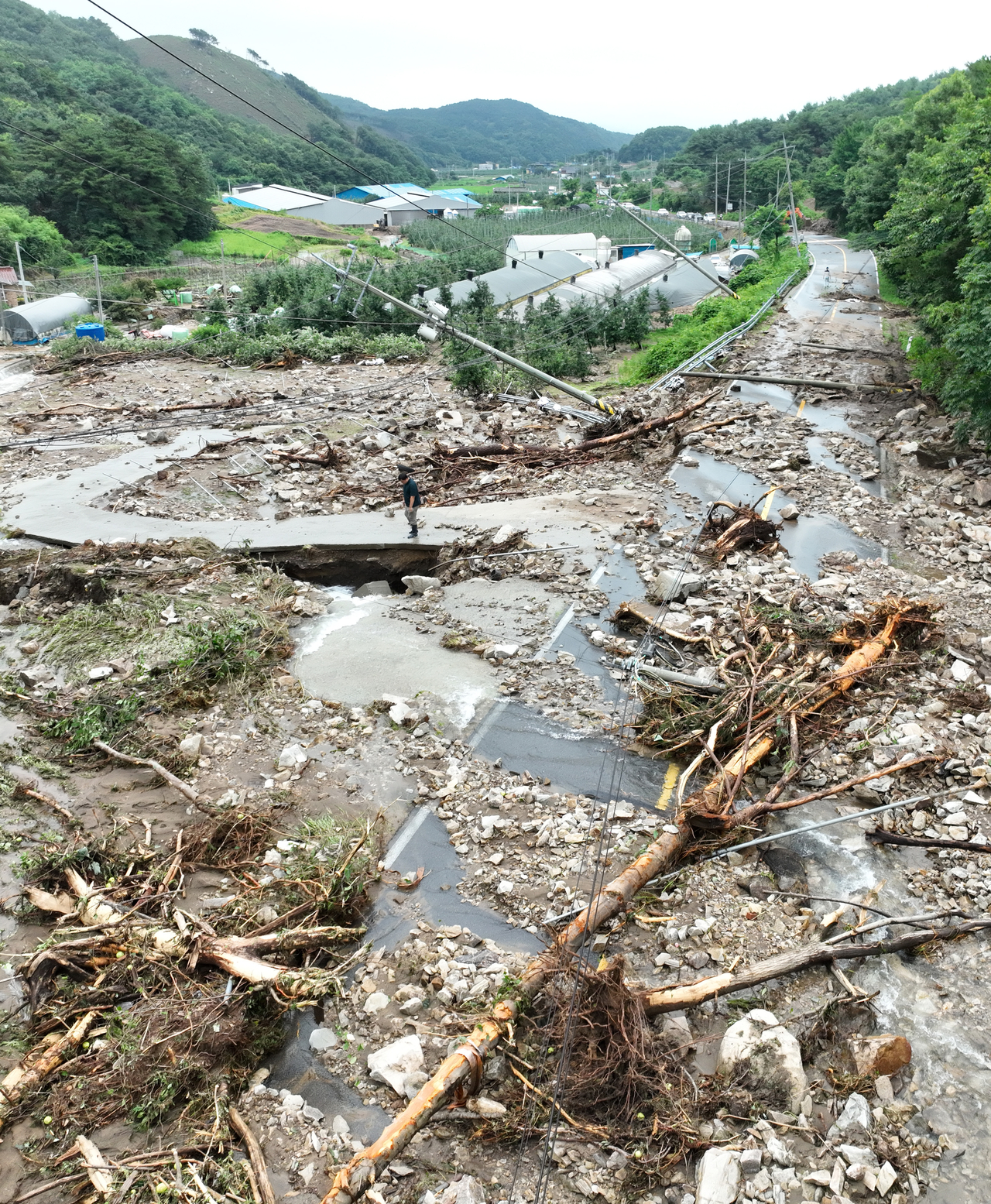 Regular train services connecting Daegu to Busan, Jinju suspended due ...