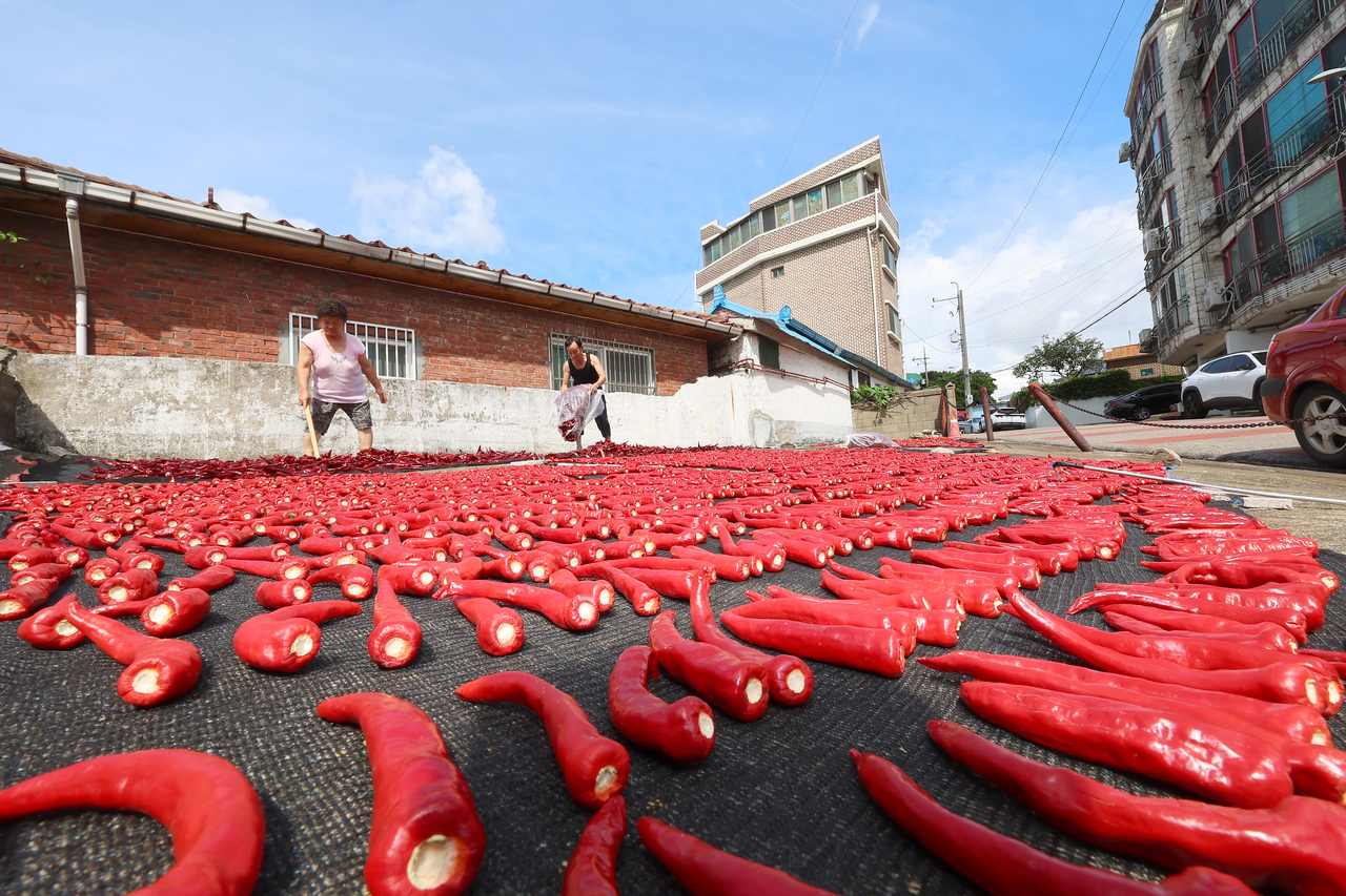 Fall nears but Korea still sweltering - The Korea Herald