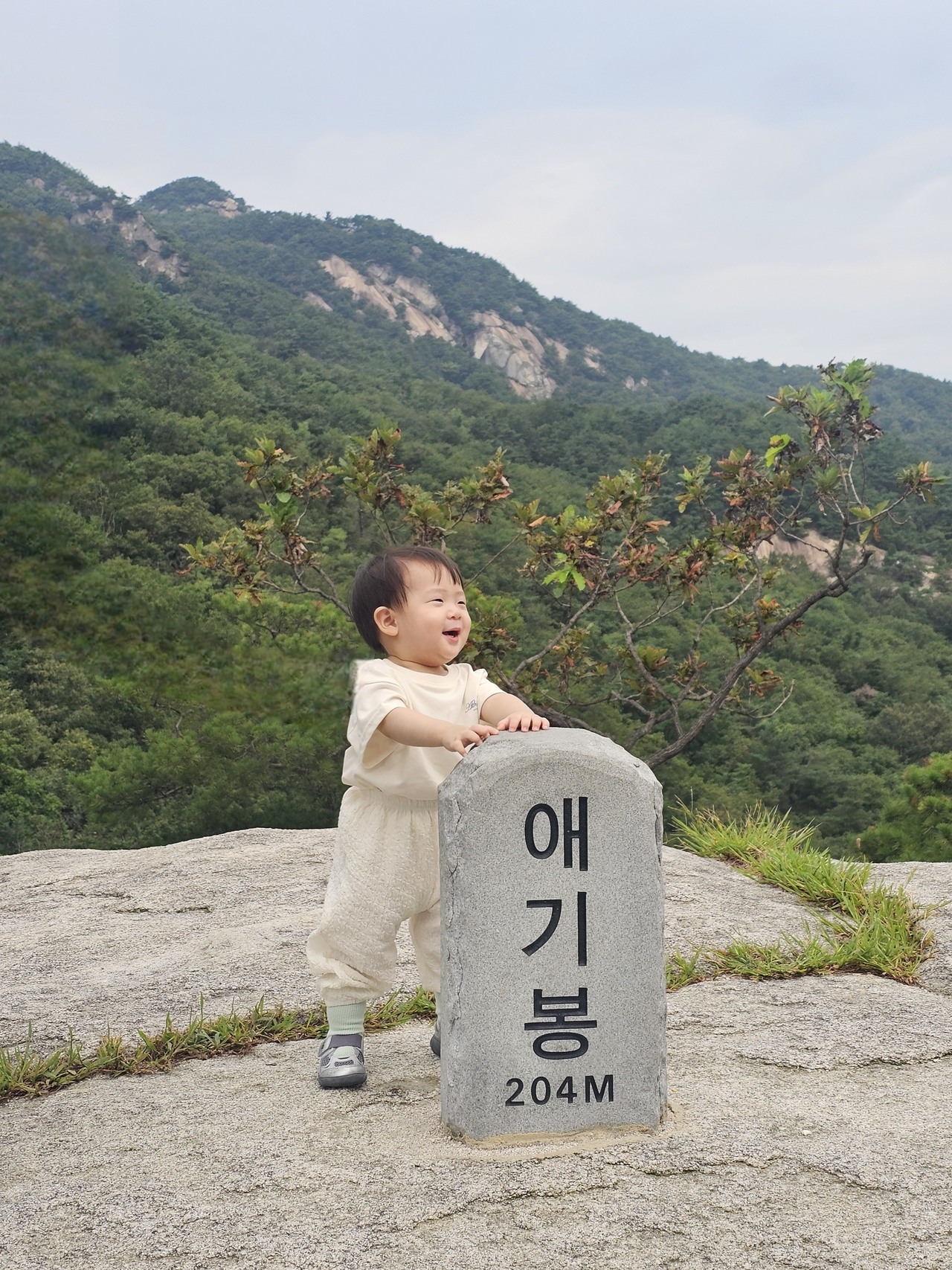 Meet the Baby Hiking Club - The Korea Herald