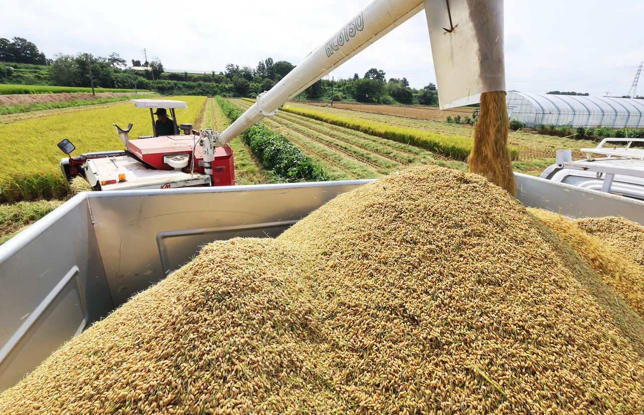 Gov't to supply 25,000 tons of additional rice for price stabilization ...