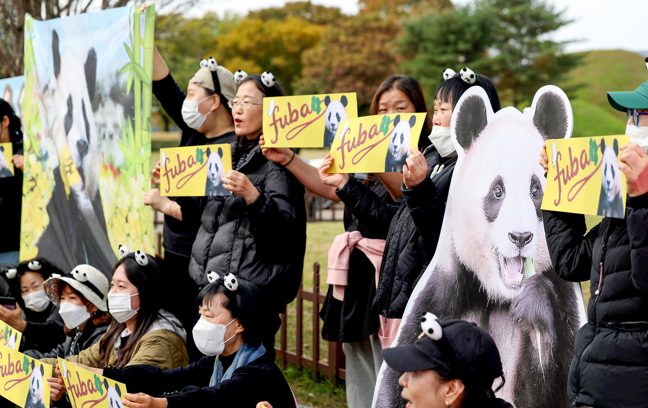 'Bring back Fu Bao': Protesters in Gyeongju call for panda's return ...
