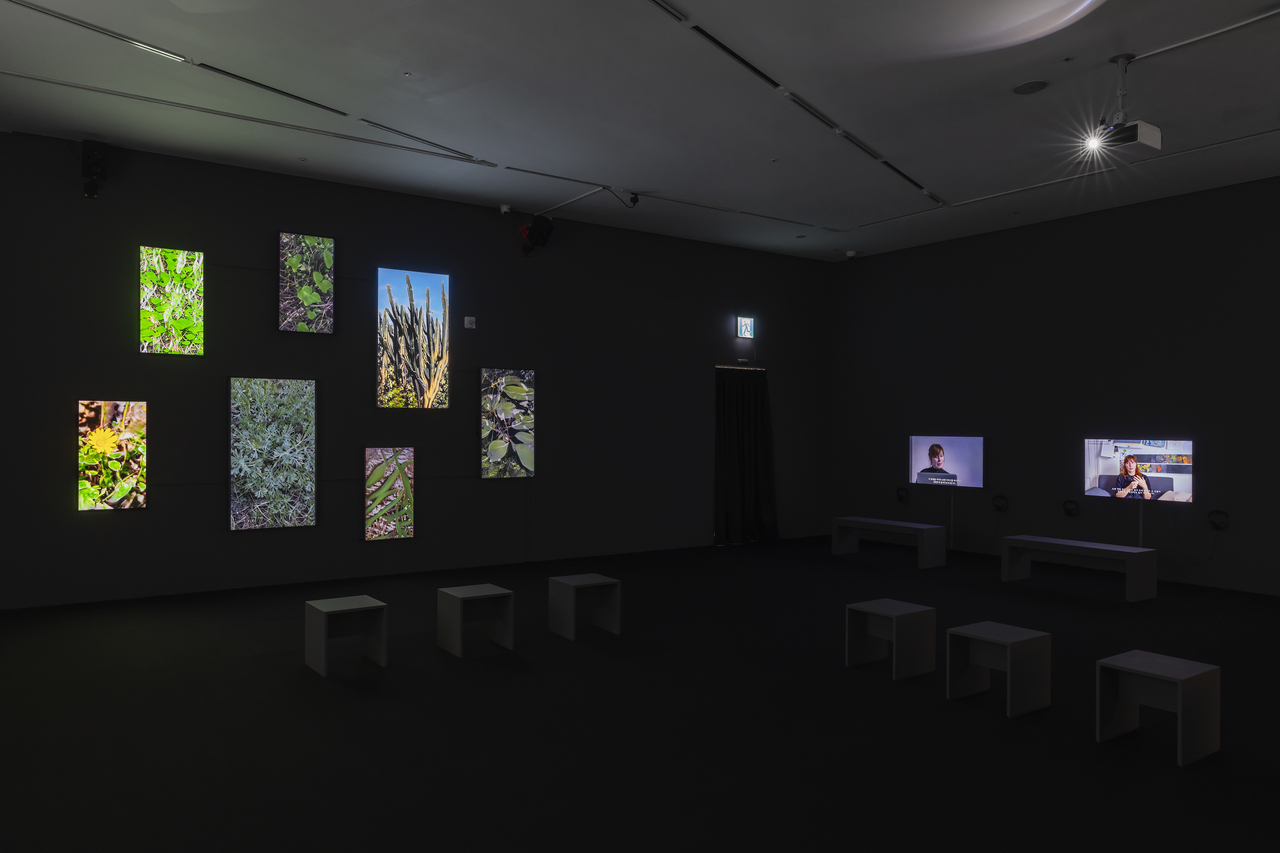 SeMA explores how art becomes knowledge through research-based practice ...