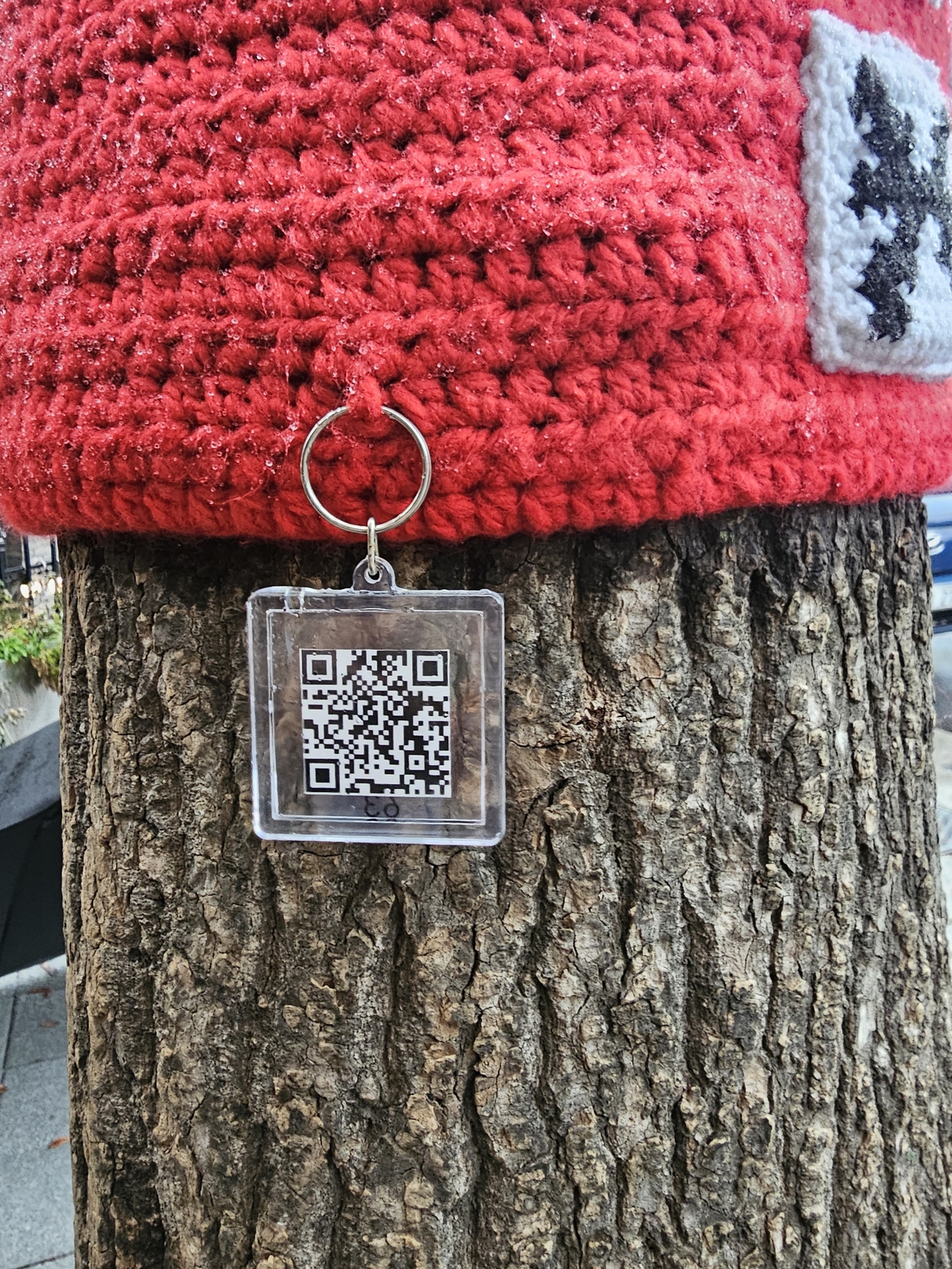 Wool for the trees: Knitted 'tree cosies' brighten up bare branches ...