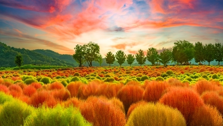 Yeoncheon invites visitors to sustainable tourism - The Korea Herald