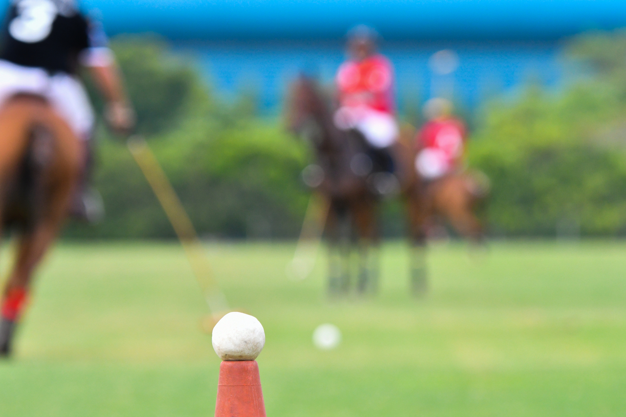 Gyeongju to build Korea’s first public polo park - The Korea Herald