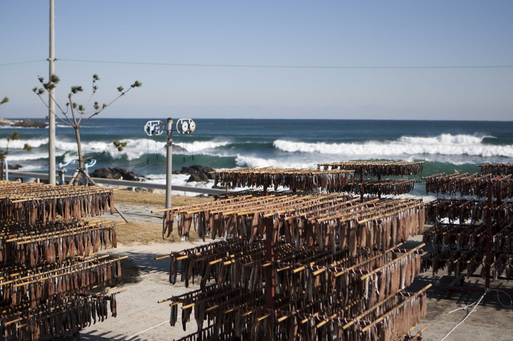 포항시, 과메기·죽도시장·모리국수로 완성되는 ‘겨울 미식 여행’ 최적지로 ‘각광’ - 헤럴드경제