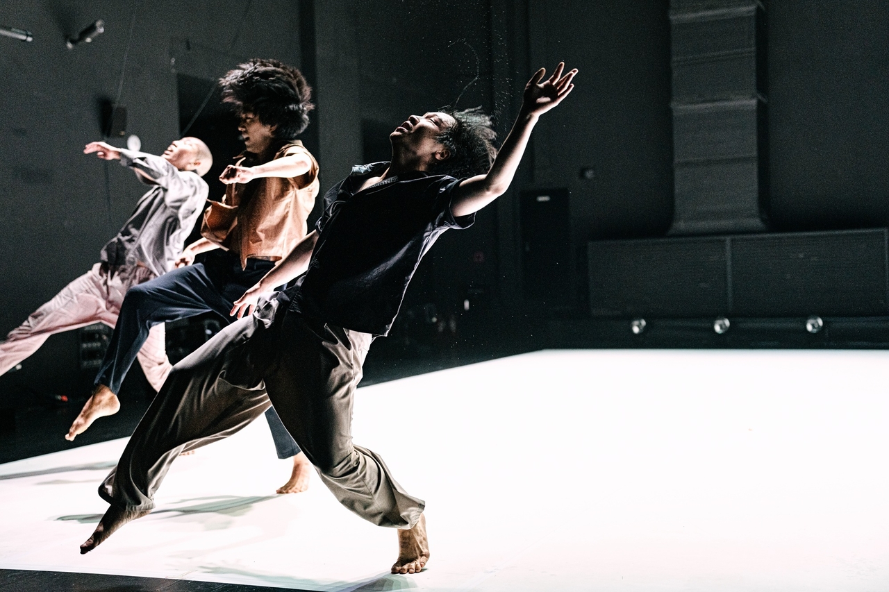National Contemporary Dance Company takes 'Jungle' to Spain, Belgium ...