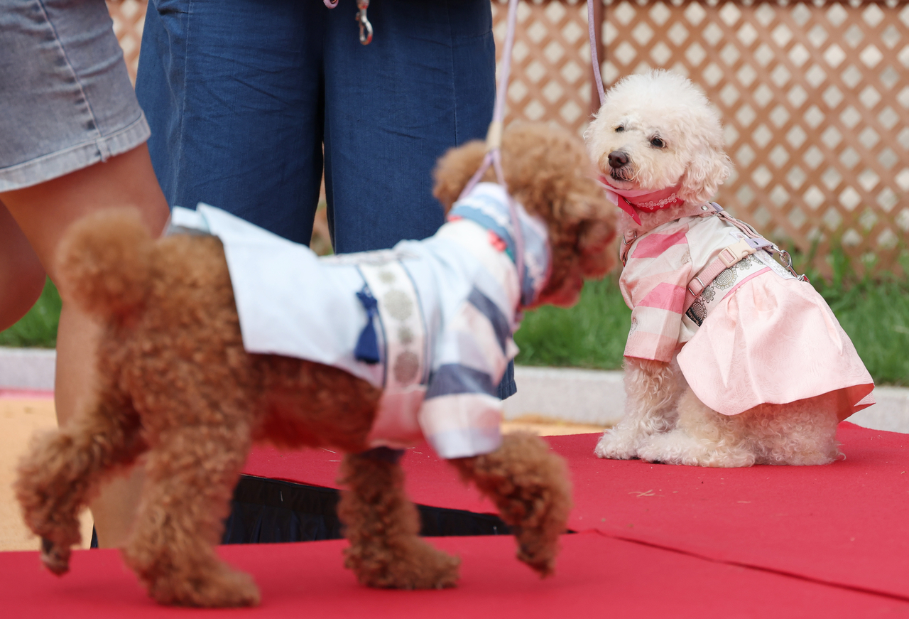 3 in 10 households in S. Korea raise pets, mostly dogs - The Korea Herald