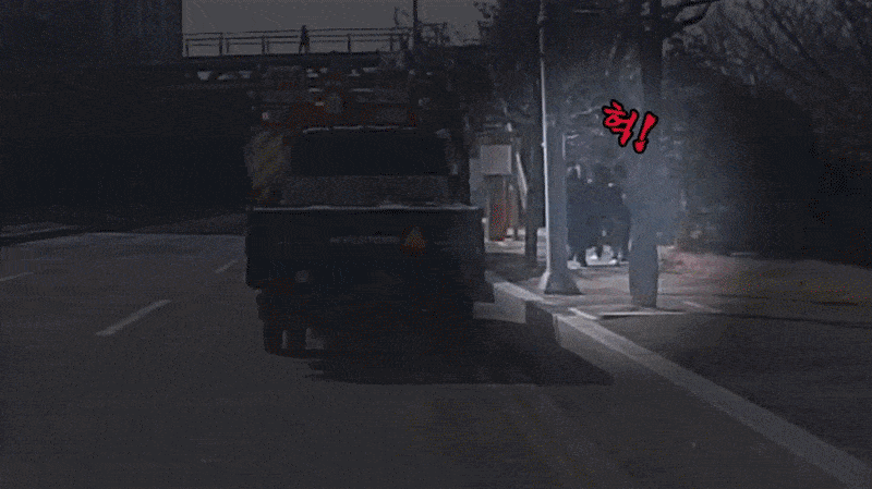 [Video] Runaway cow leads police on wild chase through Asan before ...