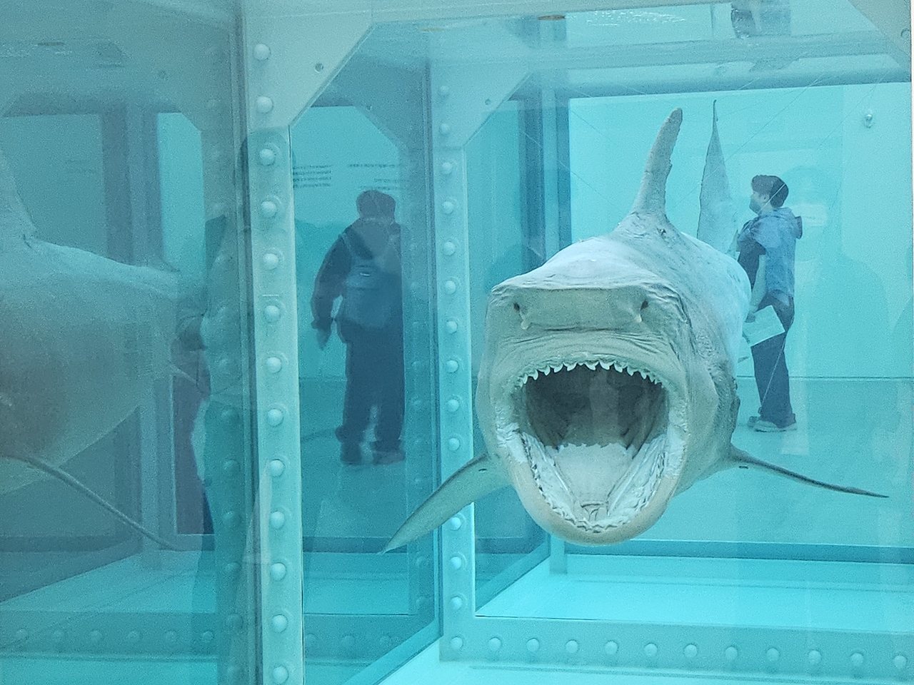 'Flies swarming a dead cow's head': Is the $2.03 million Damien Hirst ...