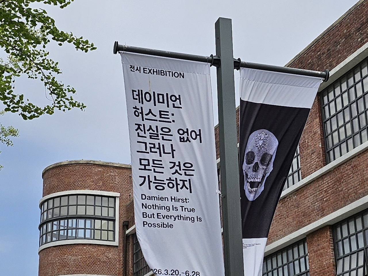 'Flies swarming a dead cow's head': Is the $2.03 million Damien Hirst ...