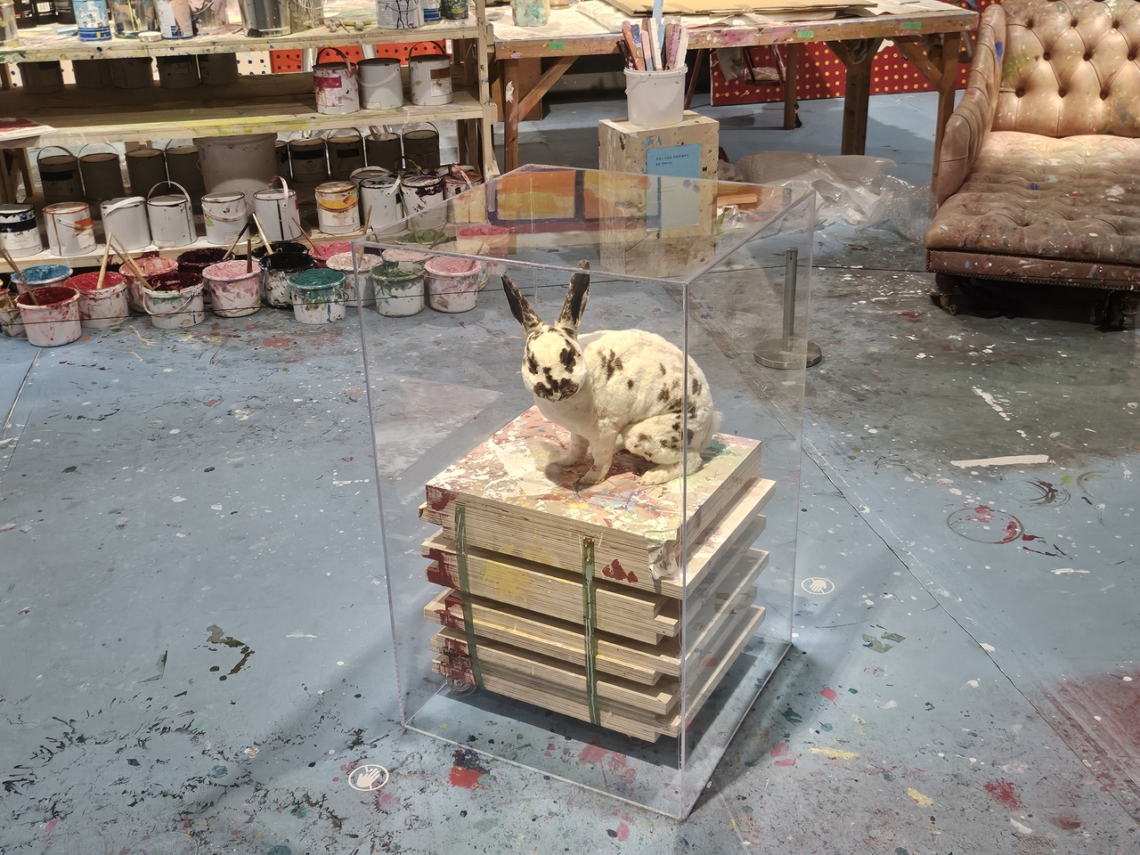 'Flies swarming a dead cow's head': Is the $2.03 million Damien Hirst ...