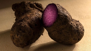 [ANN] Philippine ube is now the world's next matcha. Now what? - The ...