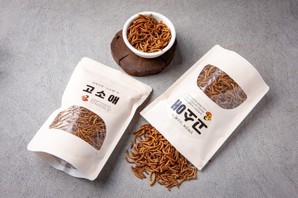 Yes to grasshoppers, no to ants: How does Korea decide which bugs can ...