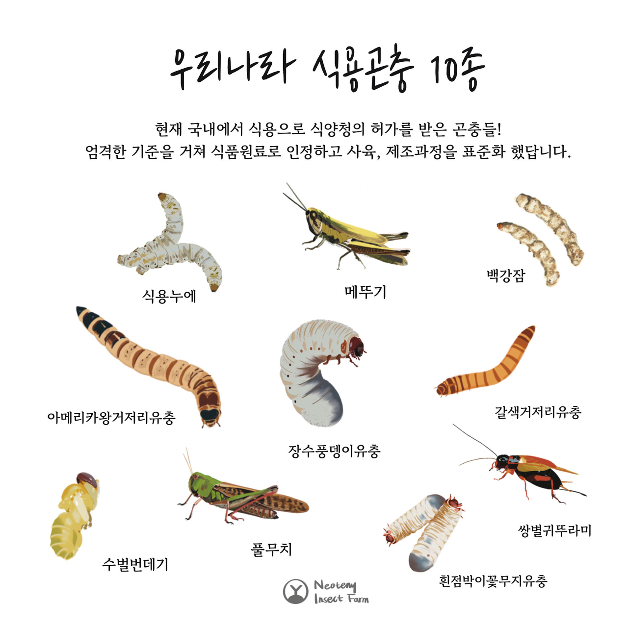 Yes to grasshoppers, no to ants: How does Korea decide which bugs can ...