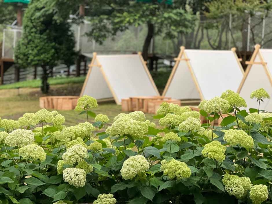 Festivals, sights across Korea - The Korea Herald