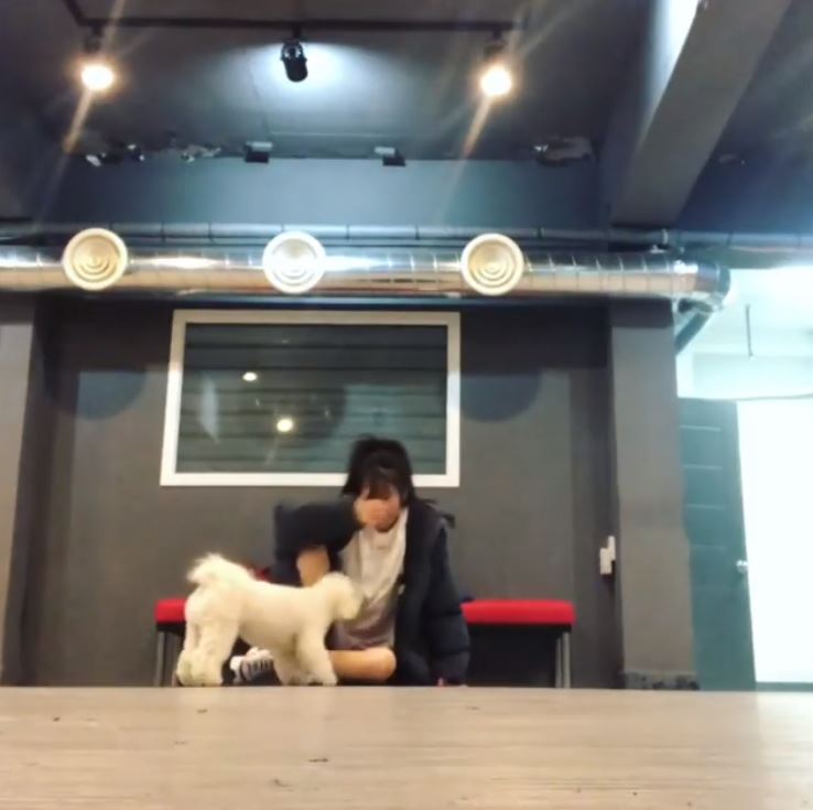 HyunA, E’Dawn show off dance skills - K-POP HERALD