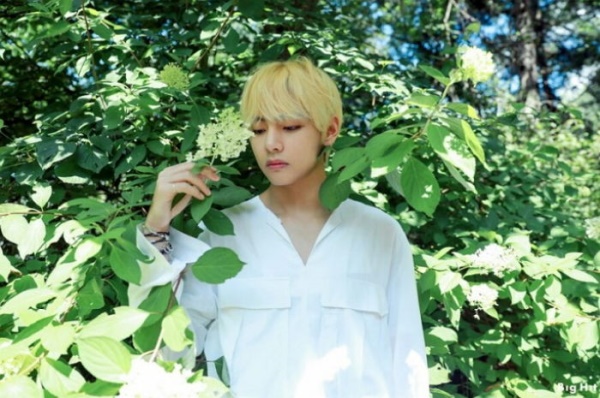 50 facts about V of BTS - K-POP HERALD
